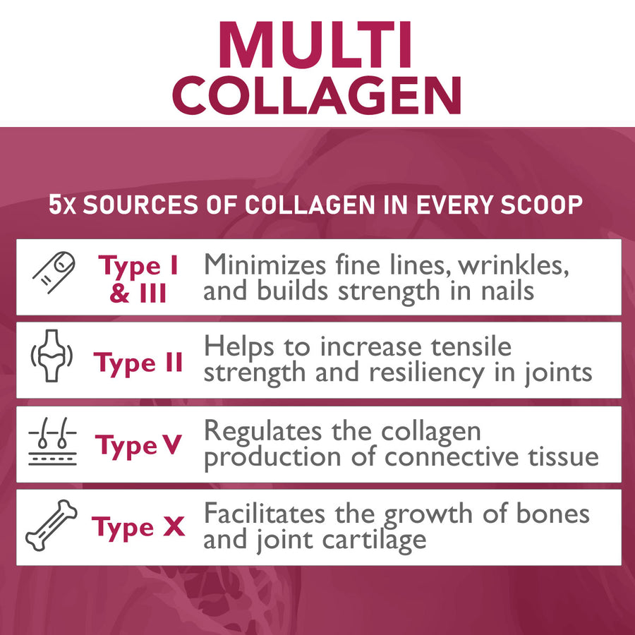 Multi Collagen | Exclusive from Nutra Collagen – NutraCollagen